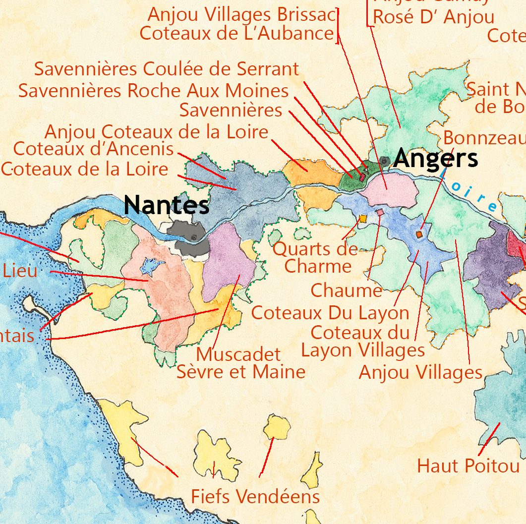Wine Map Of France - Mark P Ryan Artist